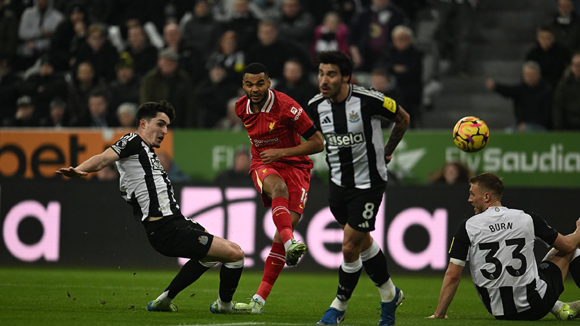 EPL: Newcastle United Bangkit 'Rantai' Liverpool